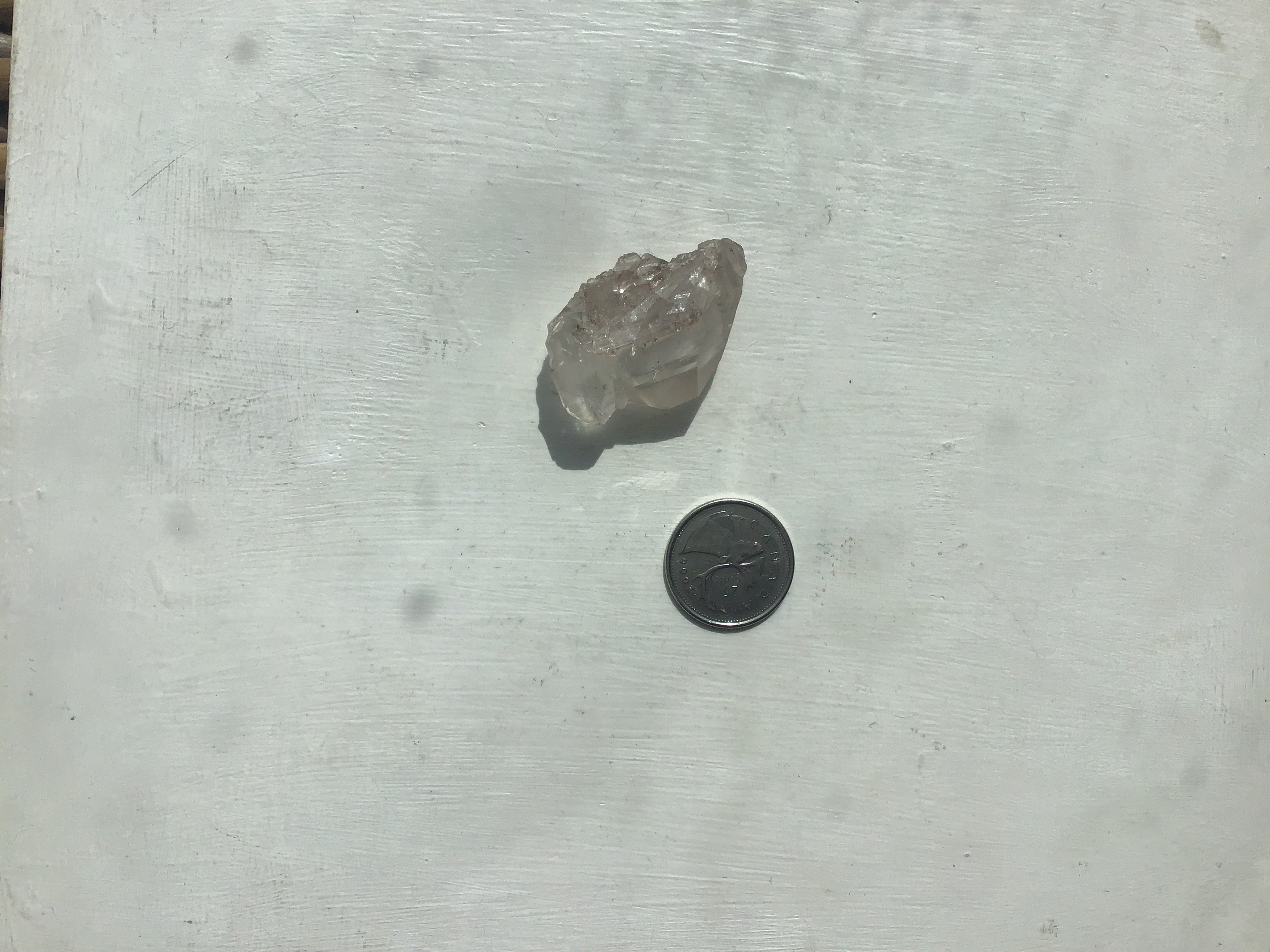 Faden Quartz – Planet Botanix Ottawa