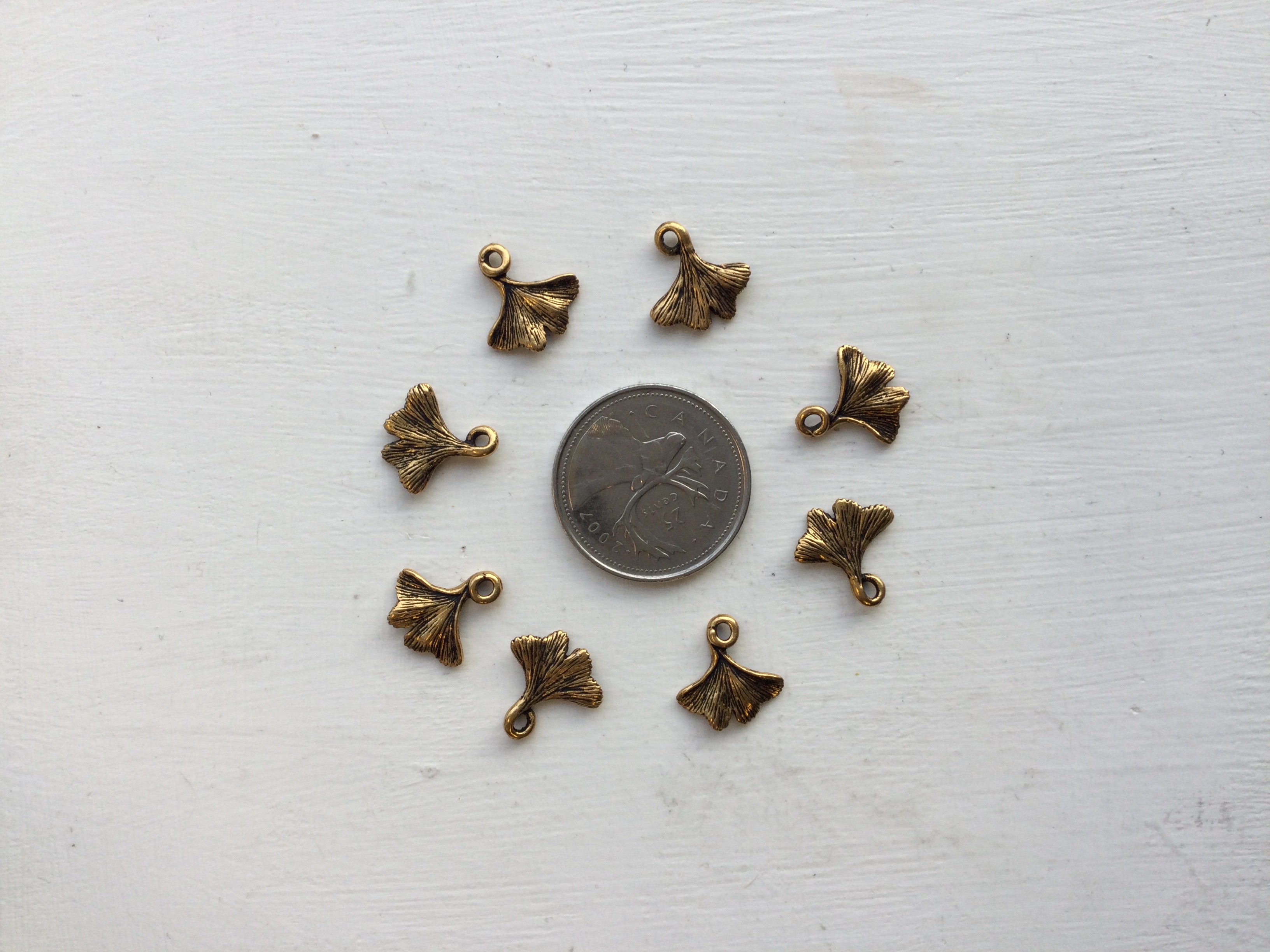 Brass Flower - Ginko Petal Charm – Planet Botanix Ottawa