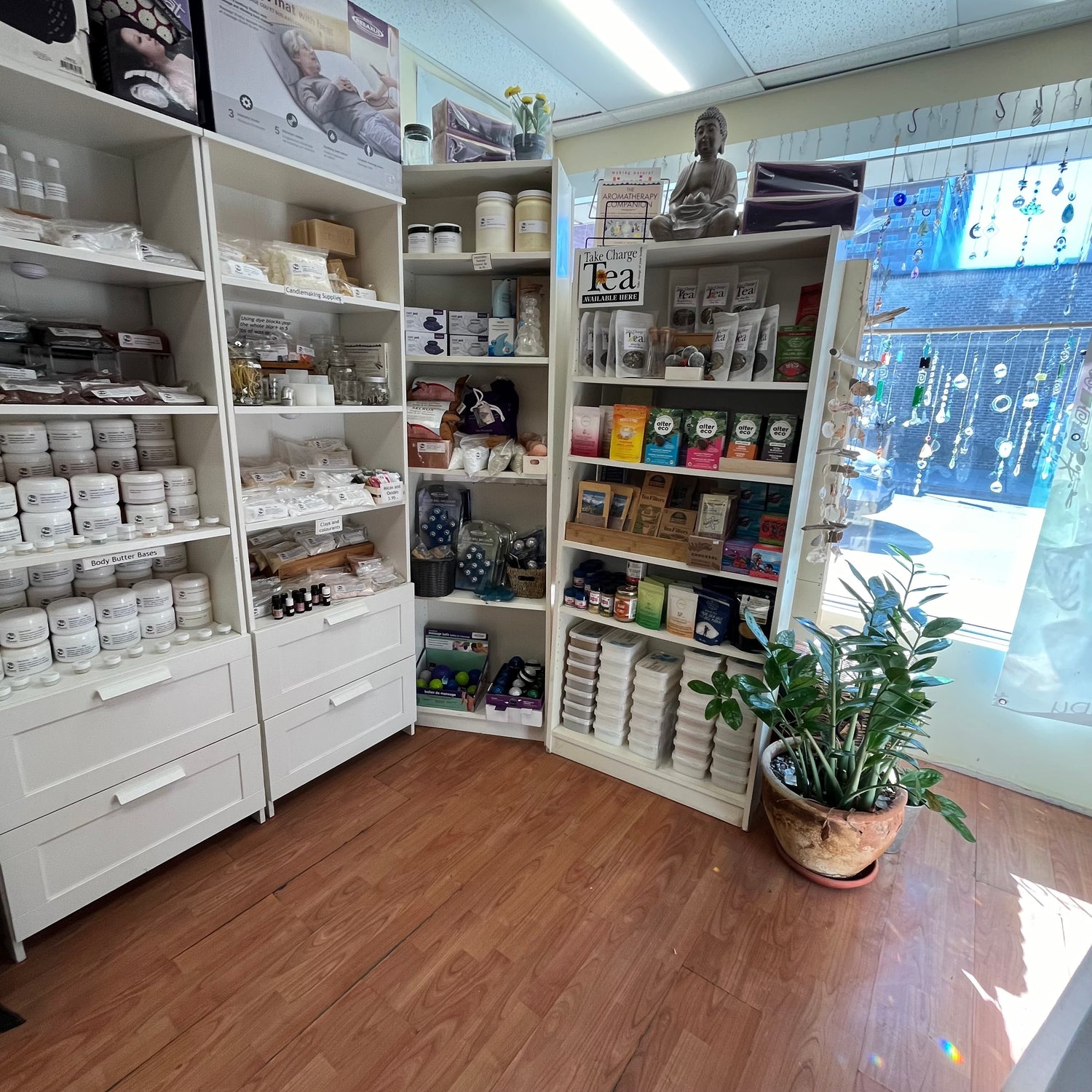 Gallery - Centretown – Planet Botanix Ottawa