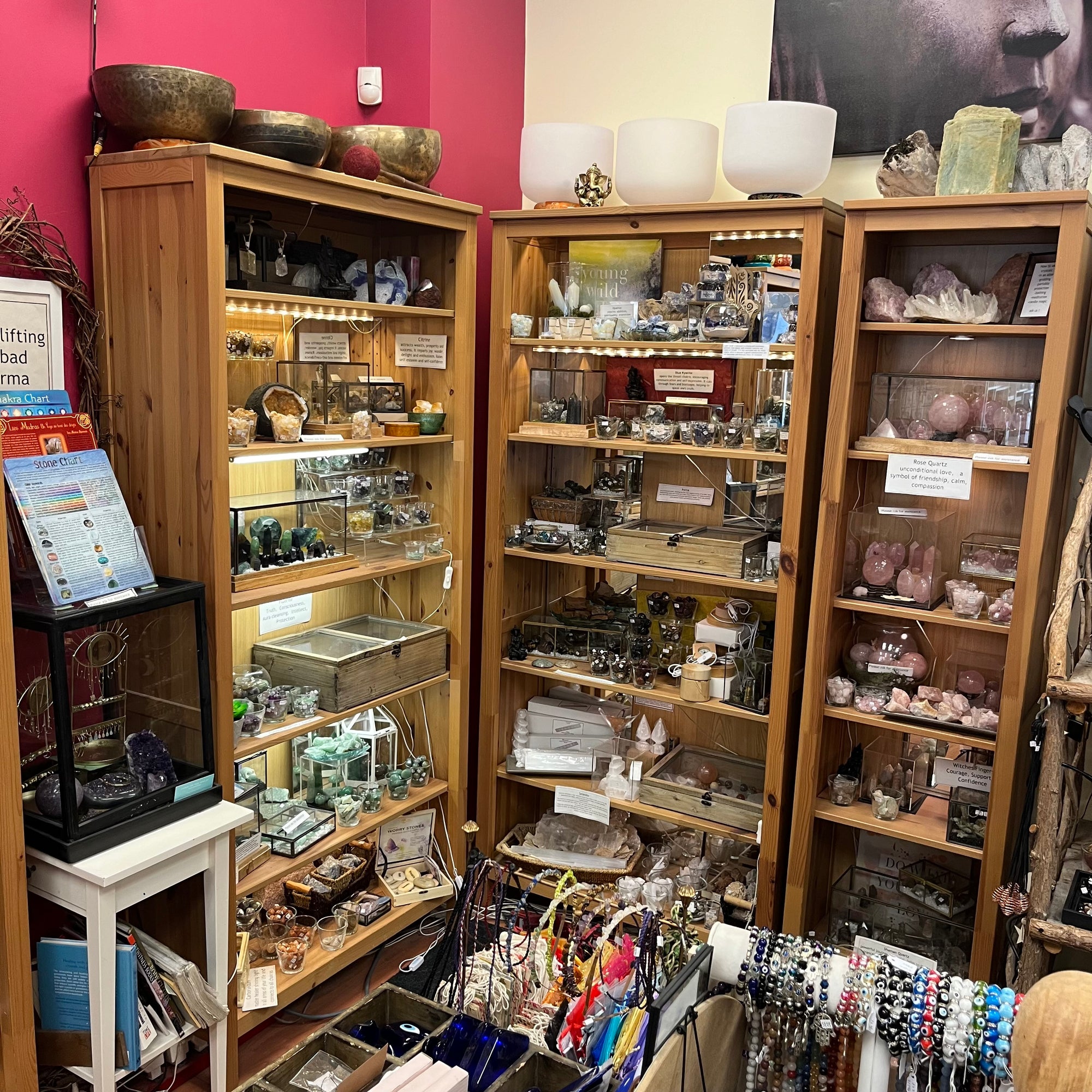 Gallery - Centretown – Planet Botanix Ottawa