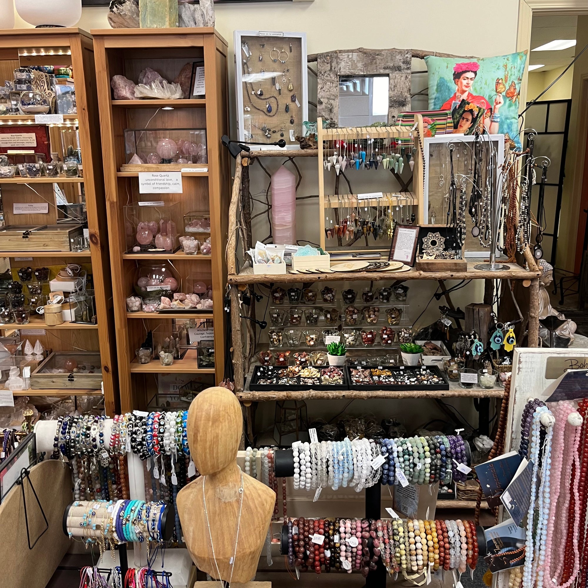 Gallery - Centretown – Planet Botanix Ottawa