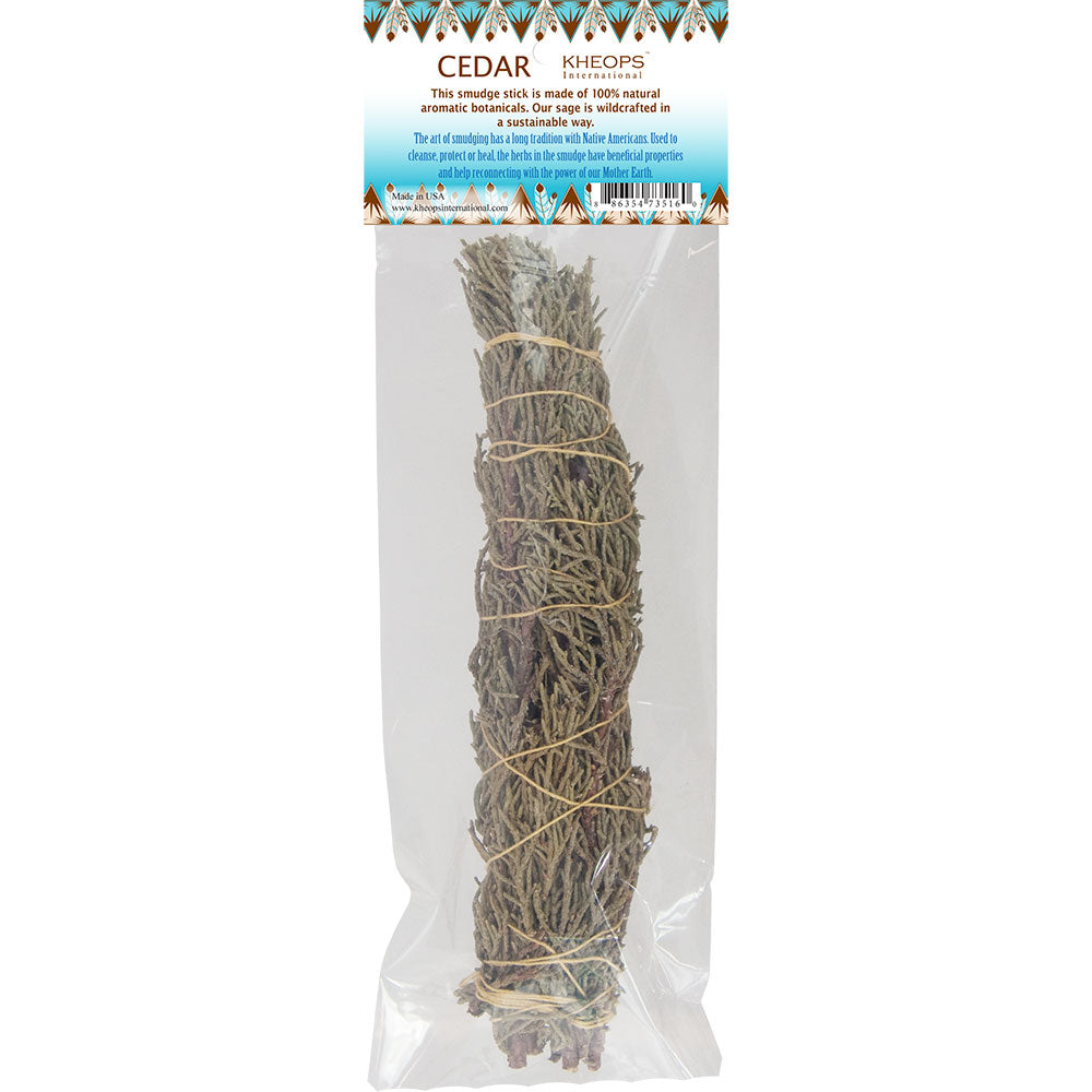 Cedar Bundle – Planet Botanix Ottawa