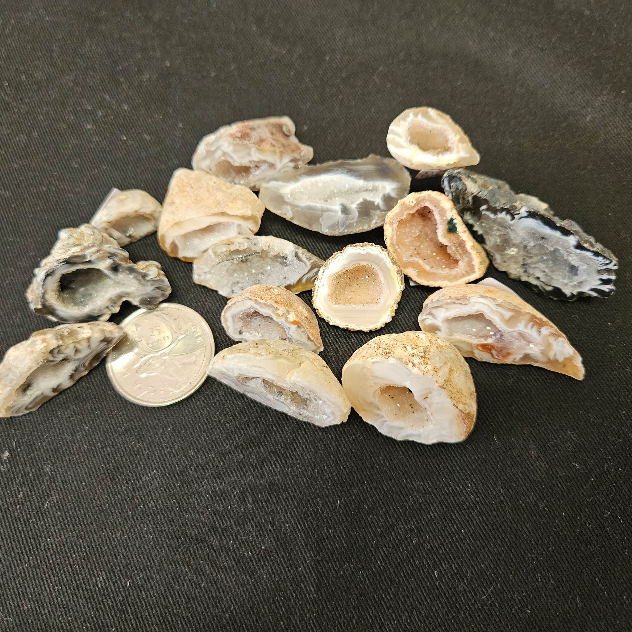 Open Geode – Planet Botanix Ottawa