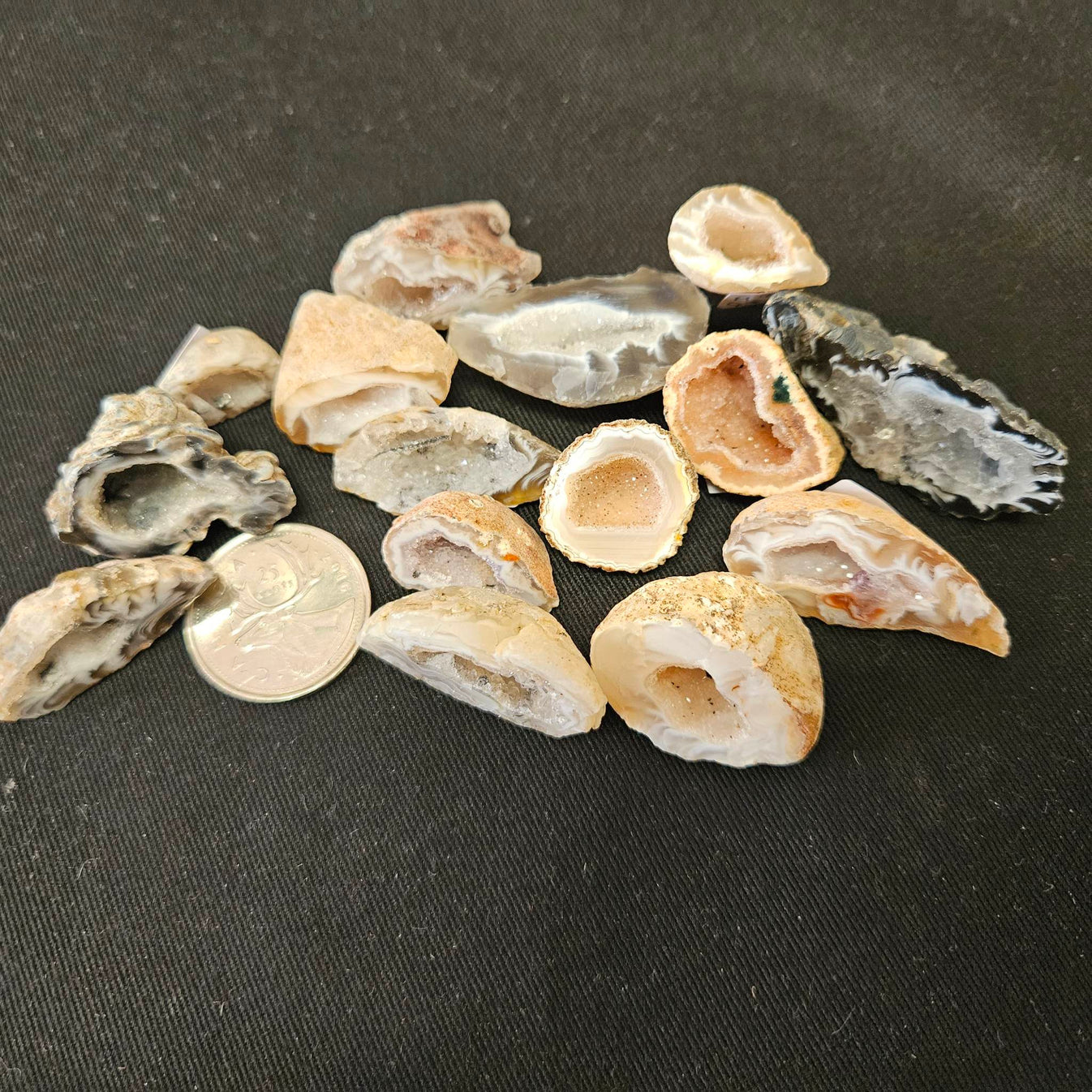 Open Geode – Planet Botanix Ottawa