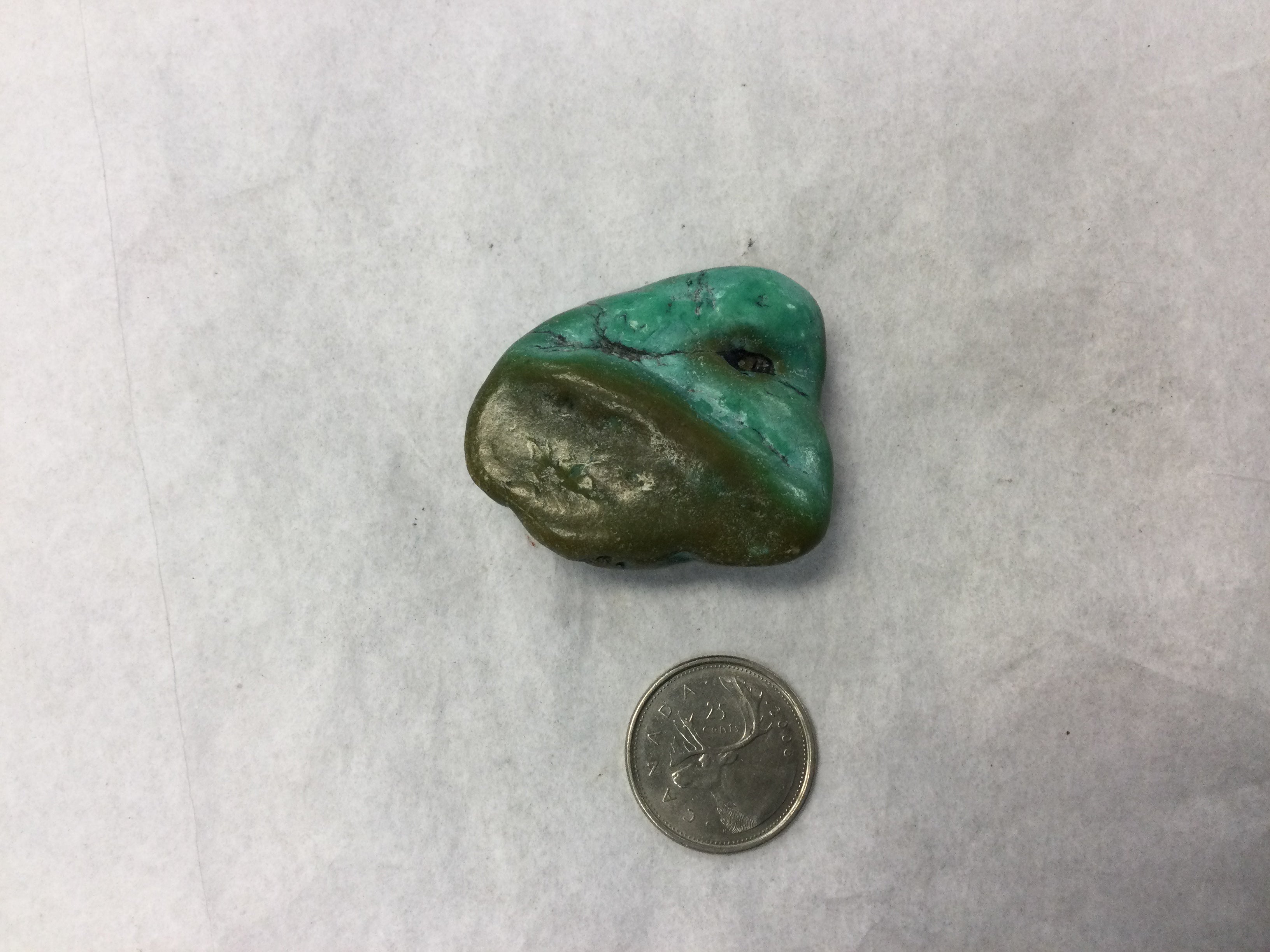 Large piece of Turquoise – Planet Botanix Ottawa